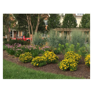 Pollinator Garden- July - Rustic - Landscape - Other - by Sylvan ...