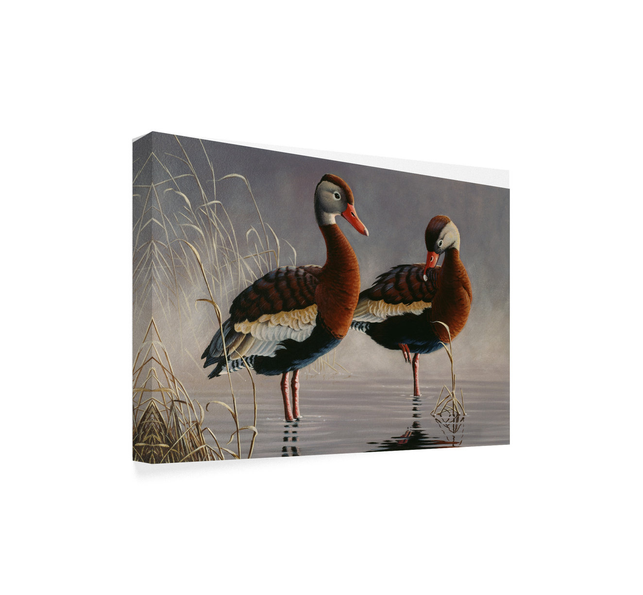 Wilhelm Goebel '1989 Black Bellied Duck' Canvas Art, 47"x30" - Rustic ...