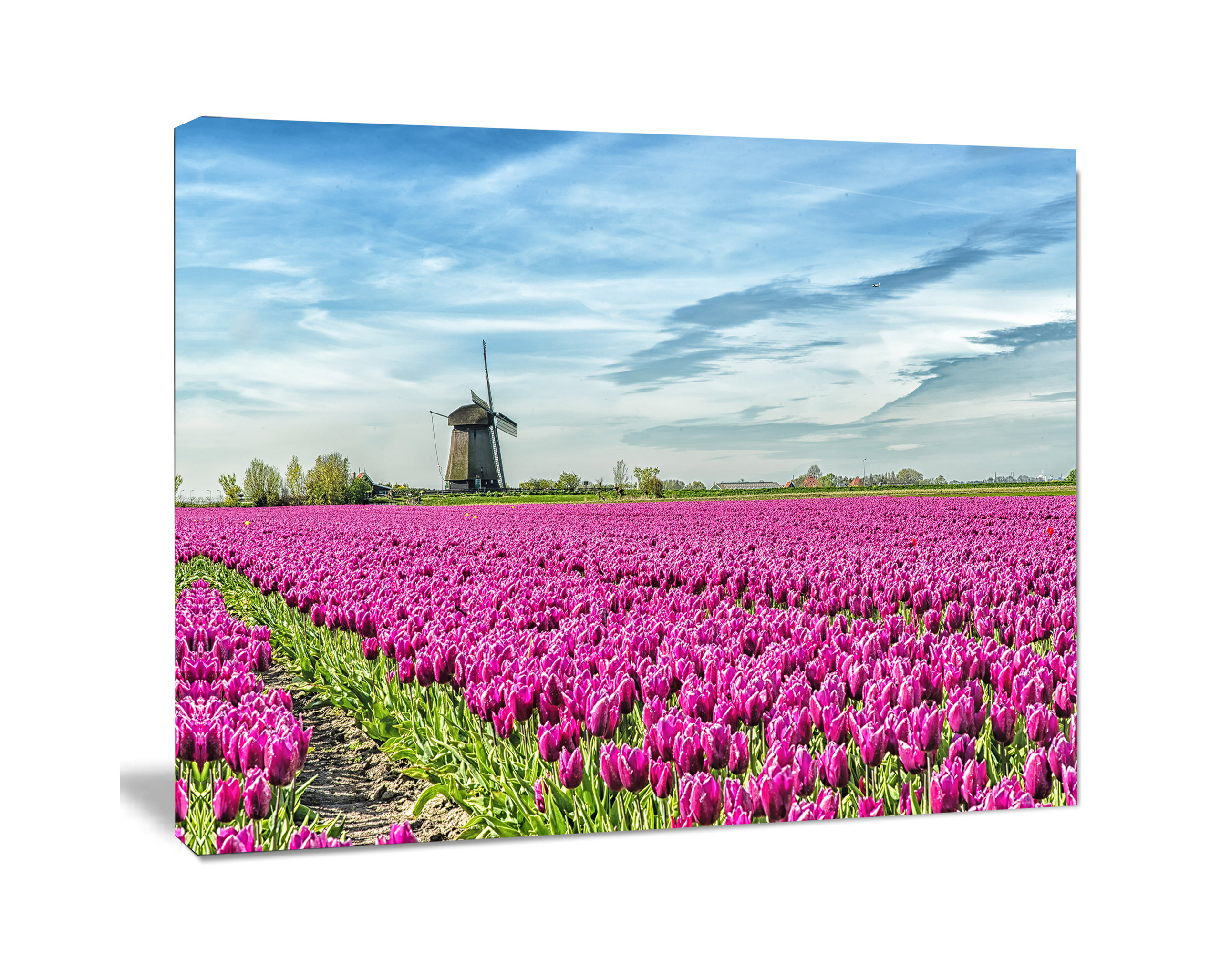 Traditional Holland Countryside, Landscape Canvas Art Print, 20"x12 ...