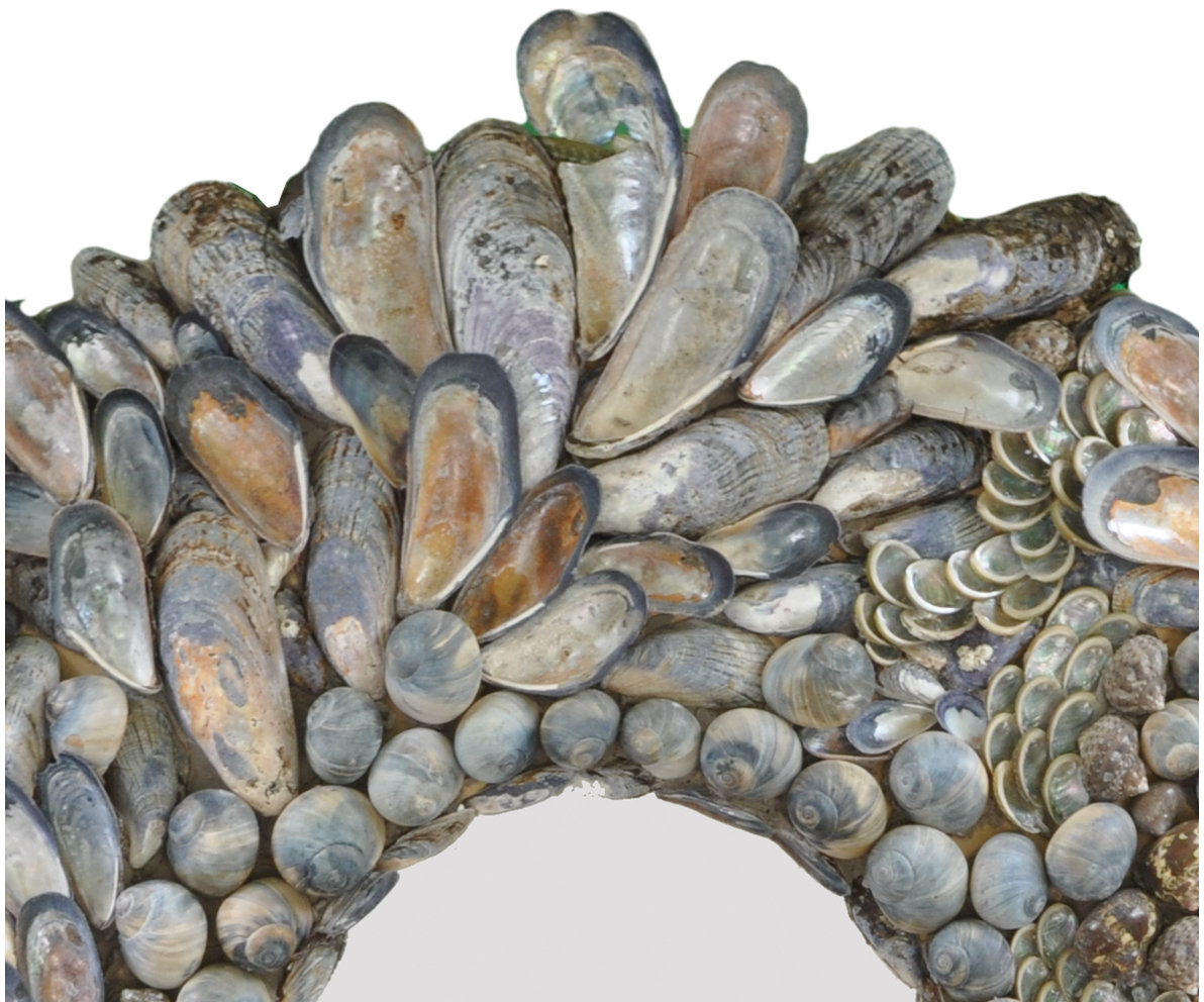 Beautiful Not Pretty Artist Created Seashell Mirror - Beach Style ...