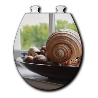White Toilet Seat, Shells on the Shelf - Beach Style - Toilet Seats ...