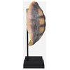 Faux Yellow Footed Tortoise Shell on Stand - Contemporary - Decorative ...