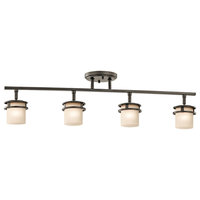 Rail 4-Light - Transitional - Track Lighting Kits - by Kichler | Houzz