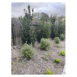 Fulbrook Pool Construction & Landscape - Modern - Landscape - Houston ...