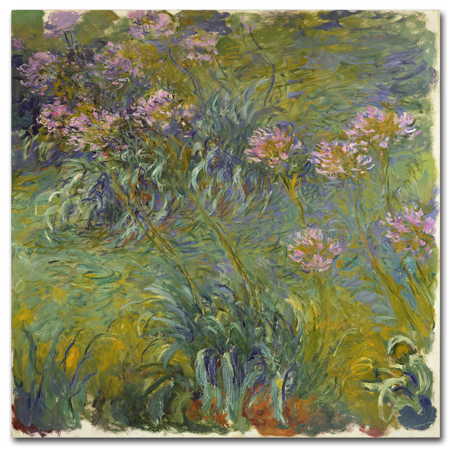 Claude Monet 'Agapanthus' Canvas Art, 18"x 18" - Contemporary - Prints ...