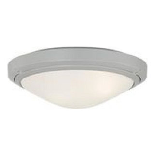 Oceanus Satin Outdoor LED Flush Mount (20356LEDDMGLP-SAT/FST ...
