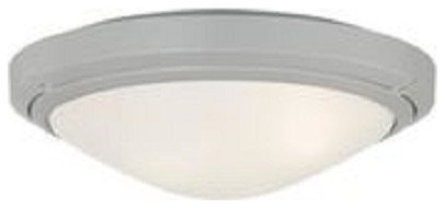 Oceanus Satin Outdoor LED Flush Mount (20356LEDDMGLP-SAT/FST ...