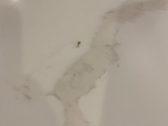 Does anyone have experience with Enigma quartz countertops?