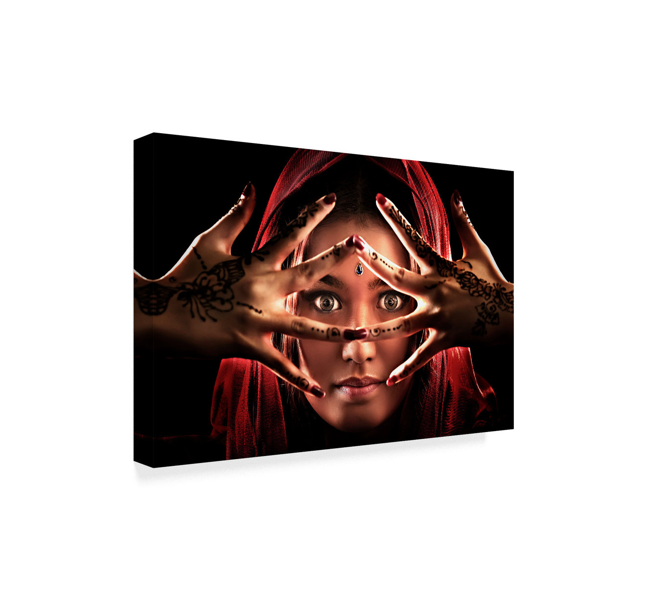 Ivan Lee 'Face Of India' Canvas Art, 24"x16" - Mediterranean - Prints ...