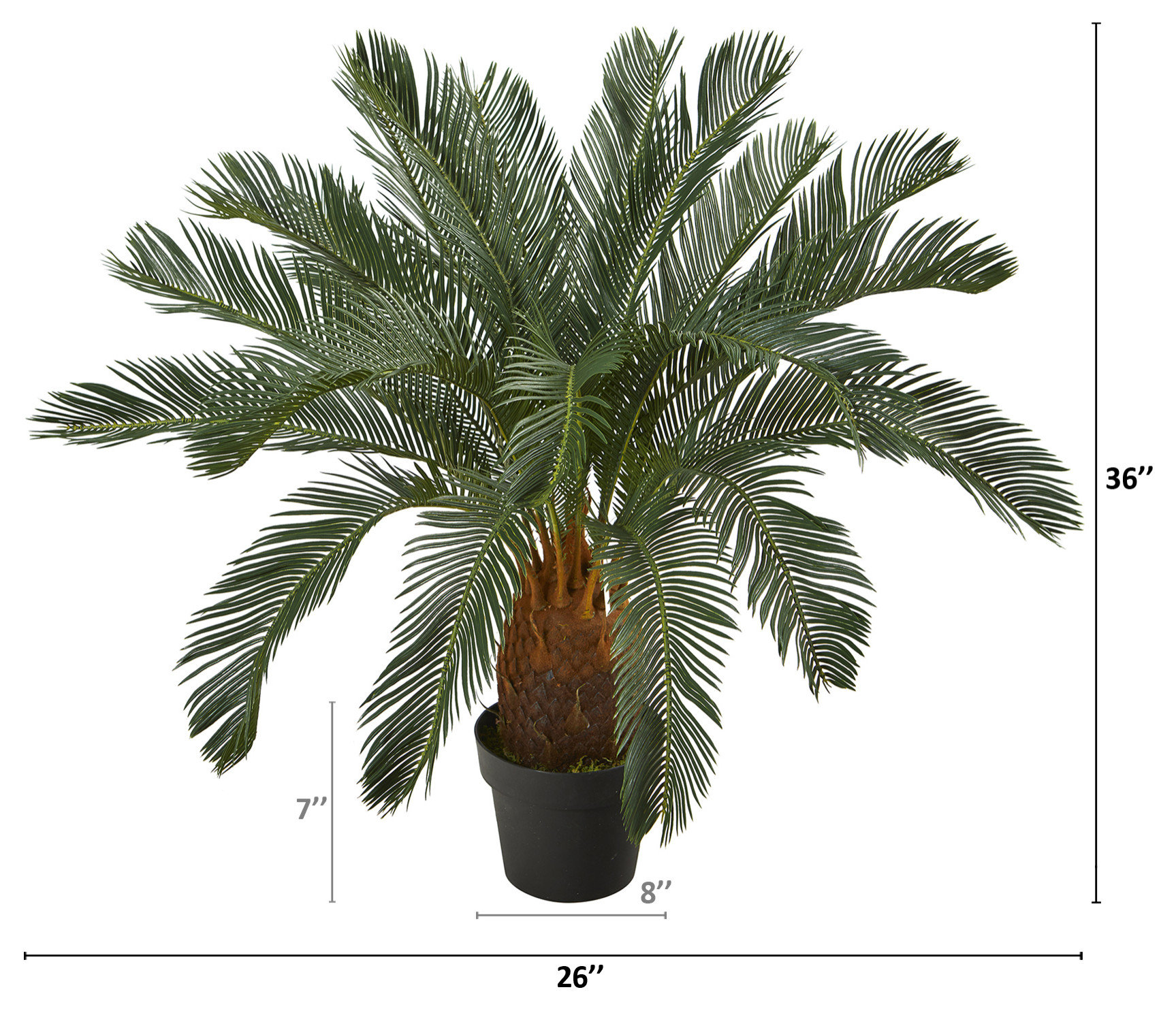 3' Cycas Artificial Tree - Modern - Artificial Plants And Trees - by ...