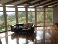 Bulletproof Wood Floors?