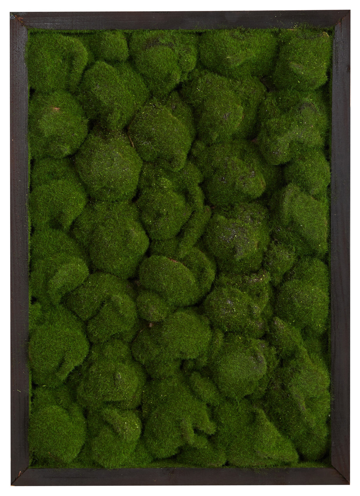 17" X 24" Artificial Moss Hanging Frame - Modern - Artificial Plants ...