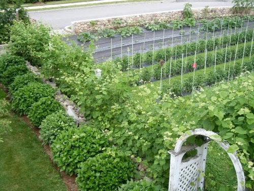 Weedless vegetable garden