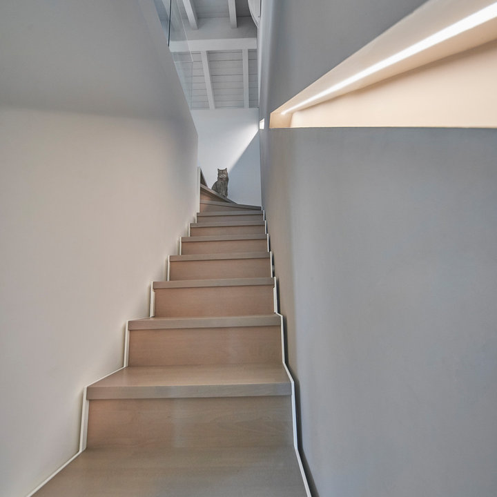 75 Wall Paneling Staircase Ideas You'll Love - March, 2025 | Houzz