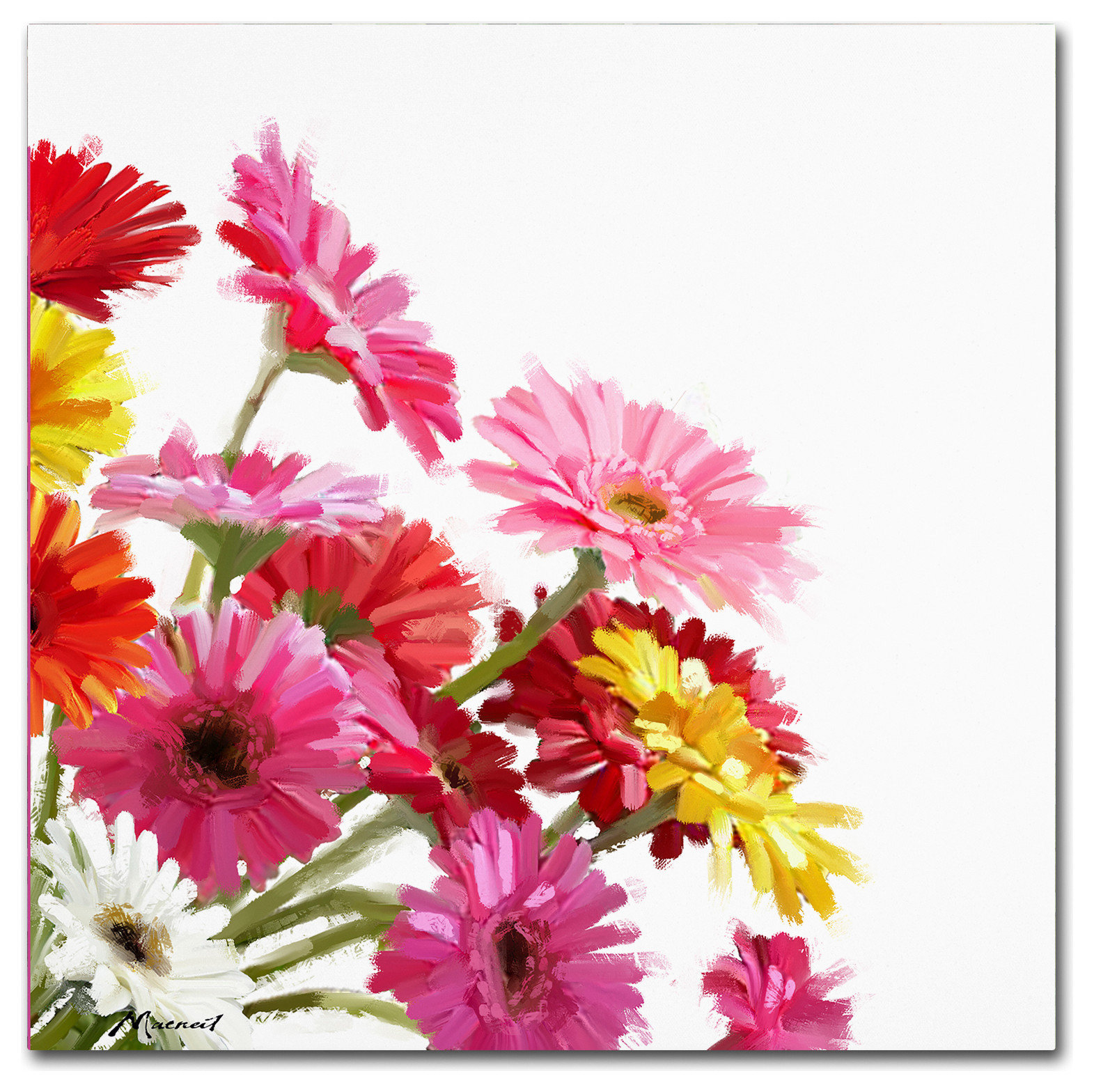 The Macneil Studio 'Gerberas' Canvas Art, 35"x35" - Contemporary ...