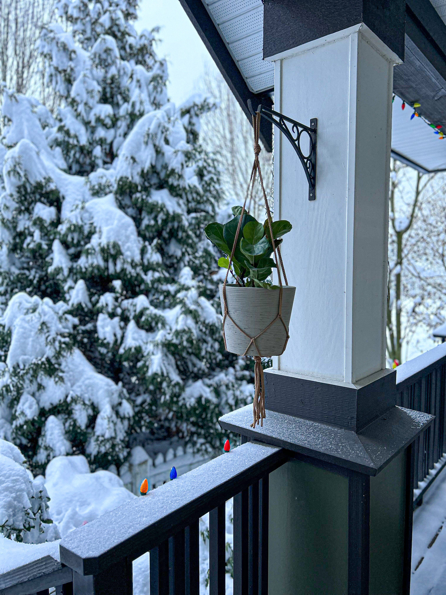 Patio 6" Wide Craft Small Hanging Pot With Netting - Beach Style ...