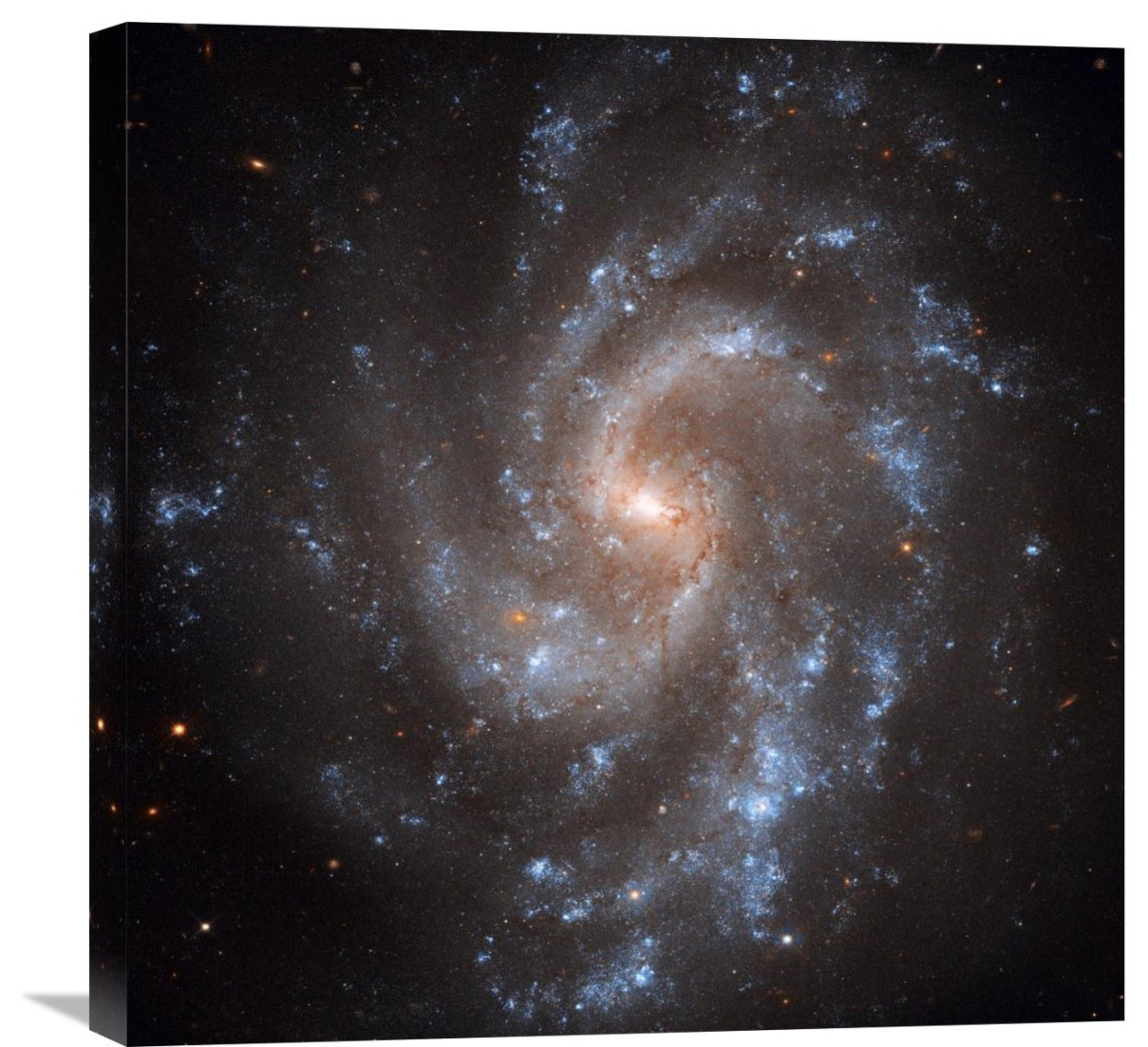"NGC 5584" Artwork, 18" x 18", 24" x 24" - Contemporary - Prints And ...