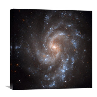 "NGC 5584" Artwork, 18" x 18", 24" x 24" - Contemporary - Prints And ...