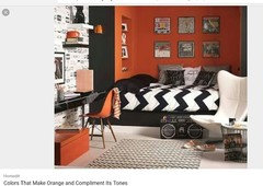 burnt orange feature wall?. | Houzz AU
