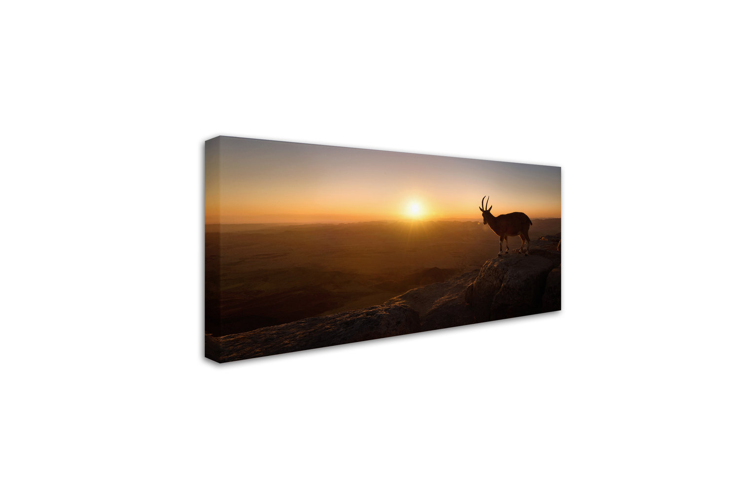 Nadav Jonas 'A New Day' Canvas Art, 32"x 16" - Rustic - Prints And ...