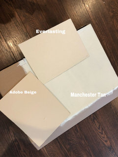 Benjamin Moore Desert Tan