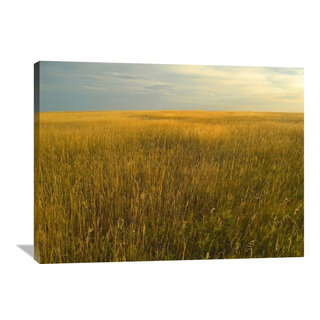 "Upper Prairie In Badlands National Park, South Dakota" Artwork, 40" x ...