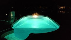 POLL: Light or Dark Bottom Pools?