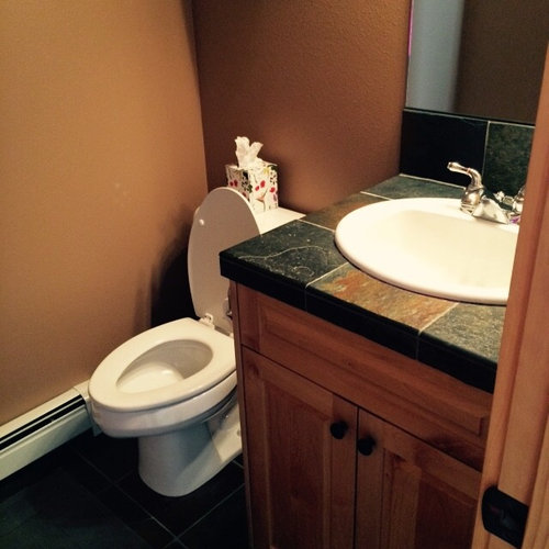 Rustic Cabin Powder Room Remodel