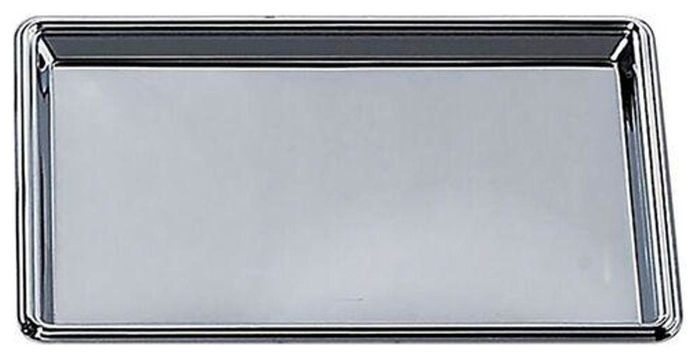 Elegance Nickel Plated Stainless Steel Rectangular Tray - Transitional ...
