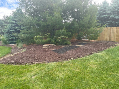 need help with berm design