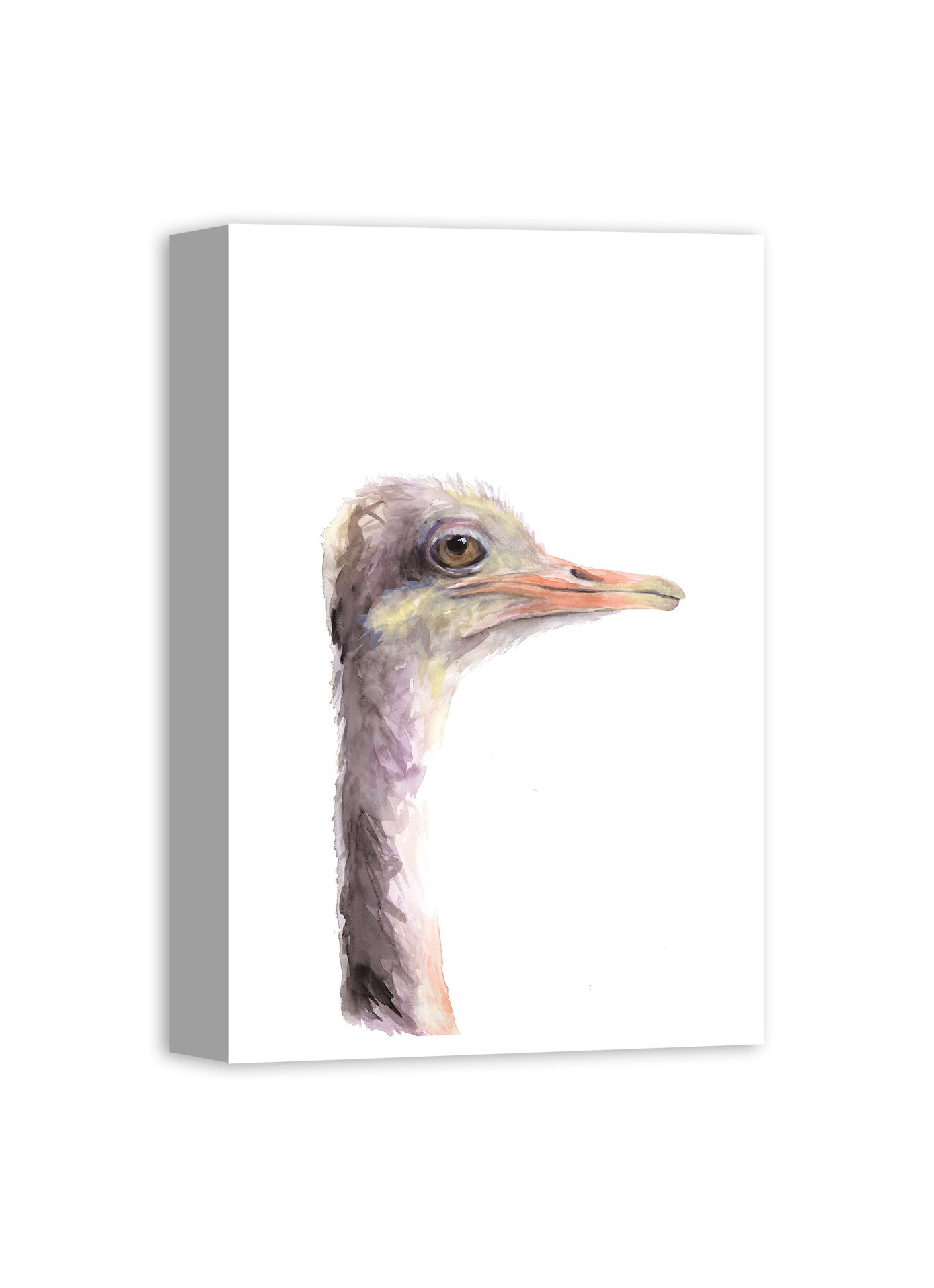 Ostrich Profile Wall Art - Contemporary - Prints And Posters - by ...