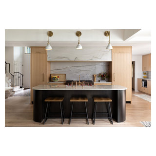 CTC Modern Home Slab Kitchen - Contemporary - Kitchen - San Francisco ...