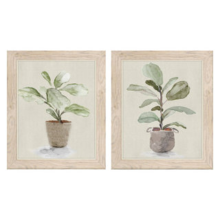 Fiddle Fig Tree, 2-Piece Set - Contemporary - Prints And Posters - by ...