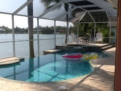 pool cage in white or bronze?????