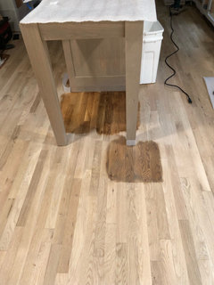 Hanstone Le Blanc Quartz Counters / backsplash options