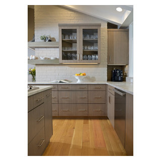 Oak Knoll Renovation - Contemporary - Kitchen - Chicago - by Vertical ...