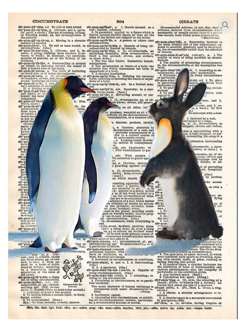 Art N Wordz WTF Rabbit Penguins Dictionary Page Pop Art Print Poster ...