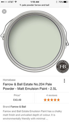 SW Sea Salt Paint looks blue