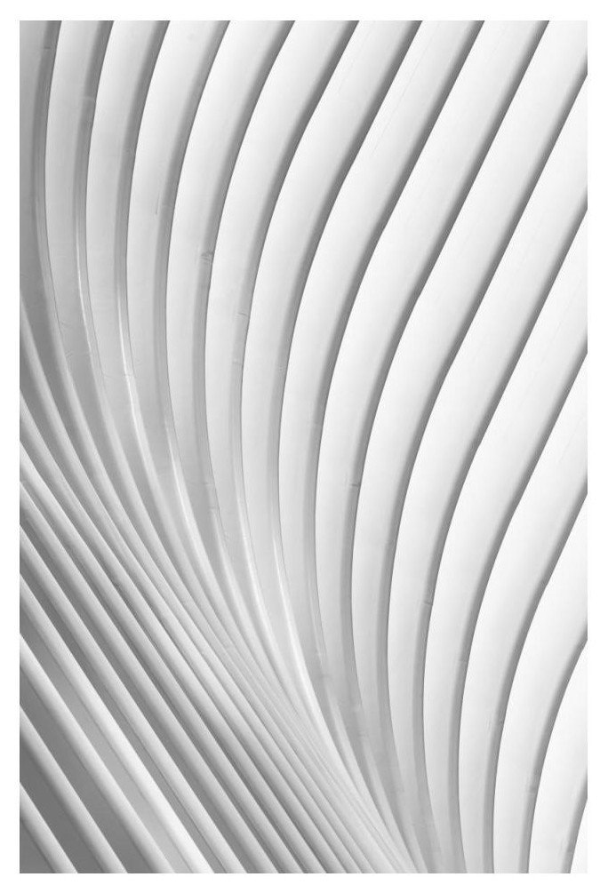 "Calatrava Lines" Digital Paper Print by Christopher Budny, 14"x20", 34 ...