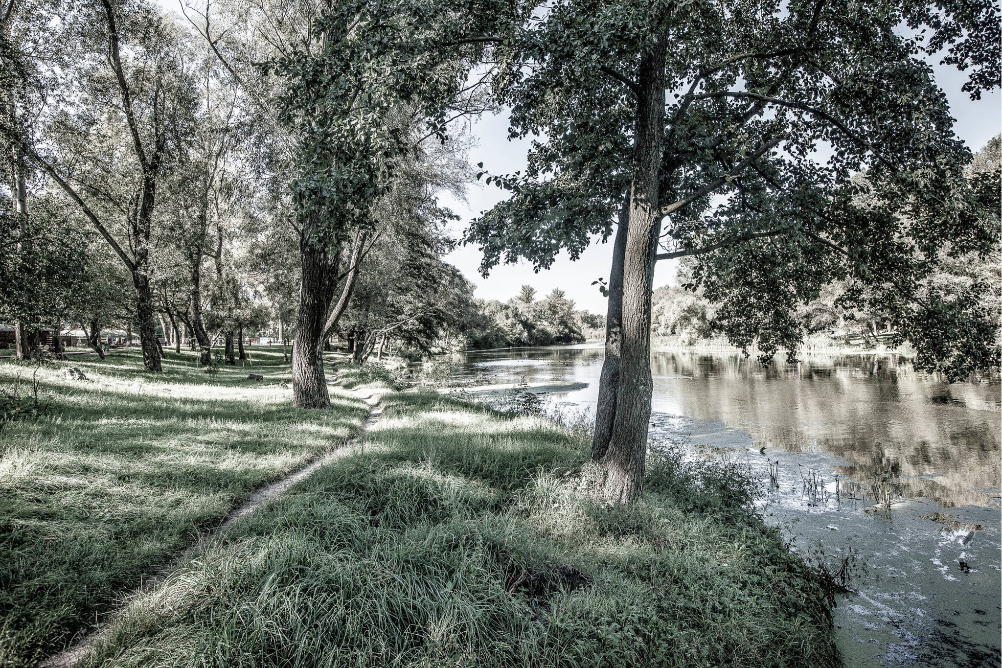 Sumy Psel River, Semi-Gloss, 18"x12" - Contemporary - Prints And ...