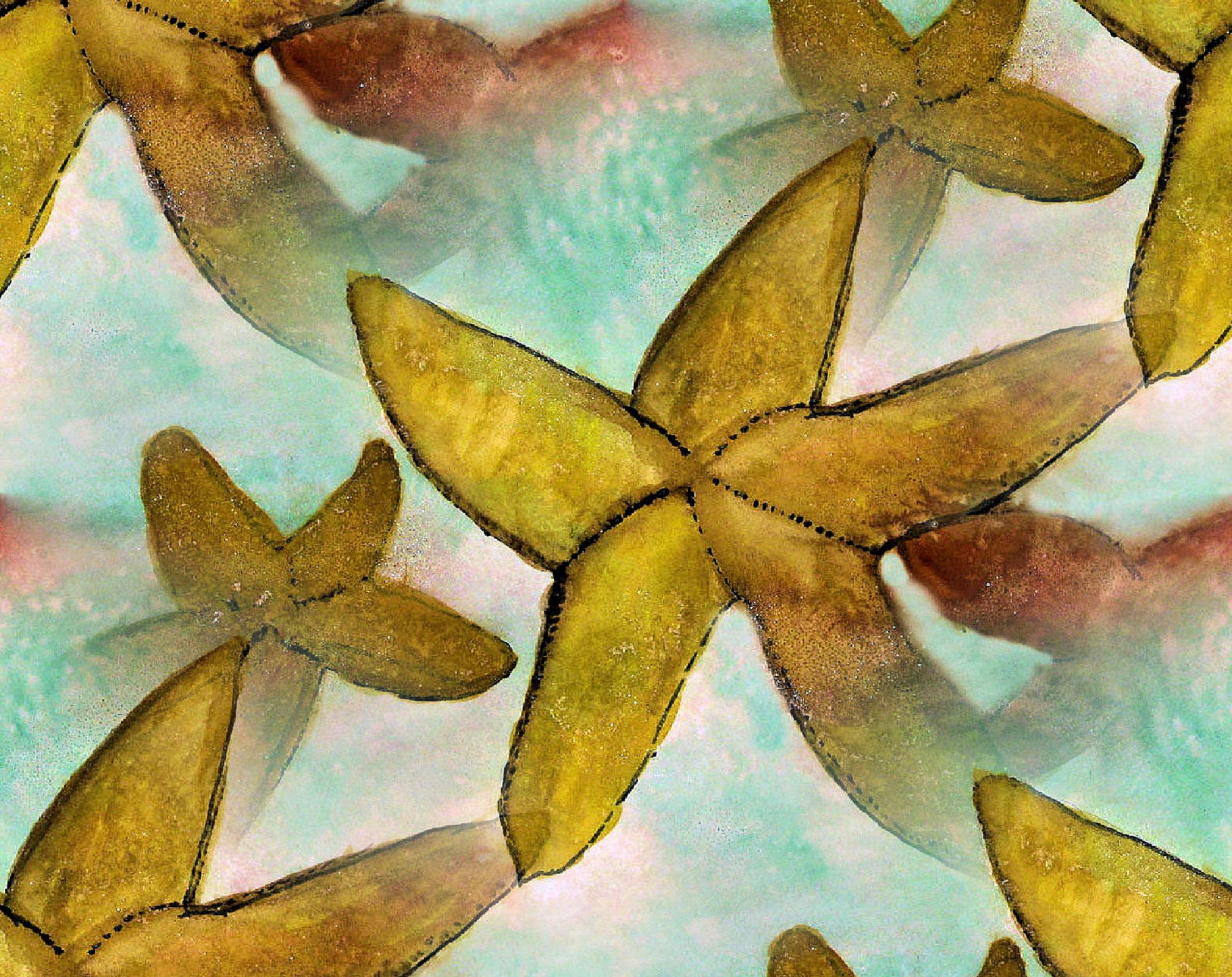StarFish Family Art Print, 36"x24" - Beach Style - Prints And Posters ...