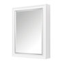 Avanity Madison 24" Mirror Cabinet - Transitional - Medicine Cabinets ...