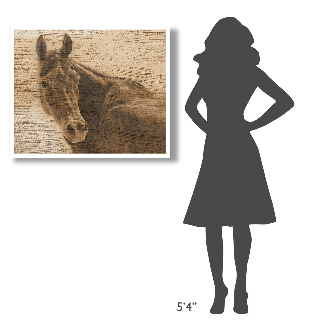 "Aamorad II" Digital Paper Print by Kari Brooks, 22"x18", 37"x30 ...