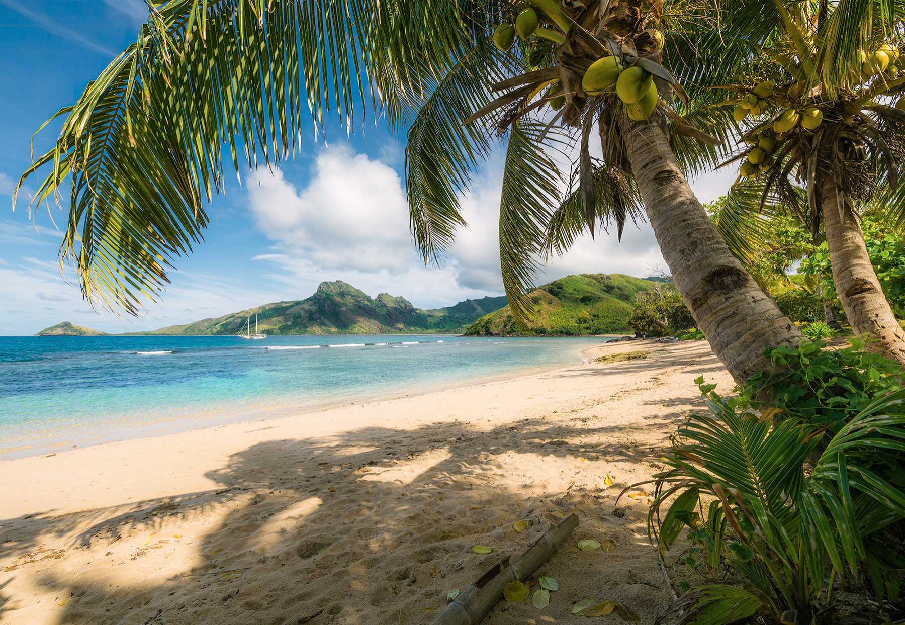 Castaway Wall Mural - Tropical - Wallpaper - by Brewster Home Fashions ...