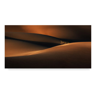 Babak Mehrafshar 'Hidden Bush' Canvas Art, 32"x16" - Contemporary ...