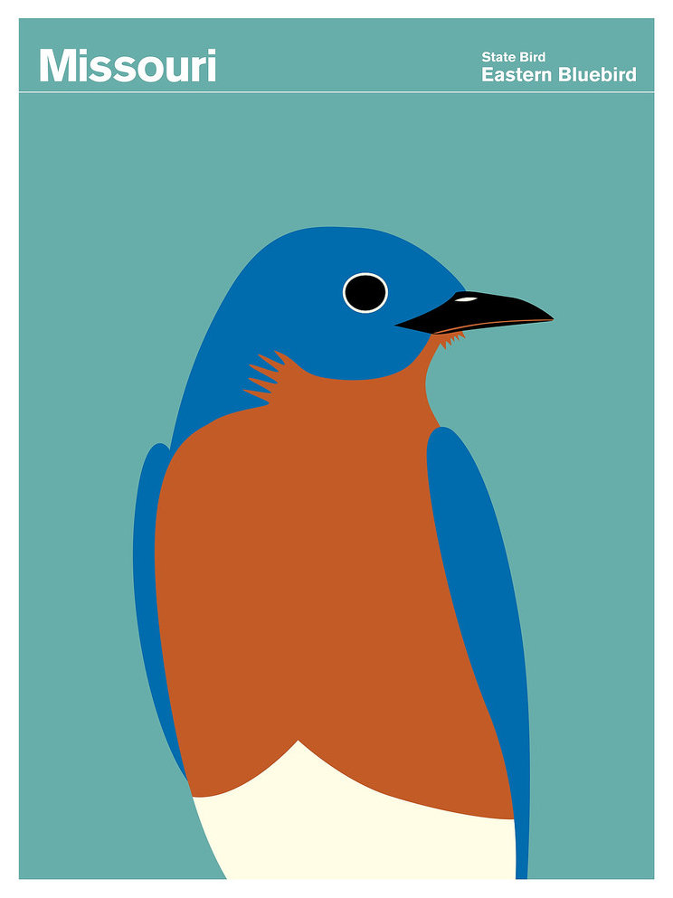 Missouri Eastern Bluebird Print, 36" x 46" - Contemporary - Fine Art ...