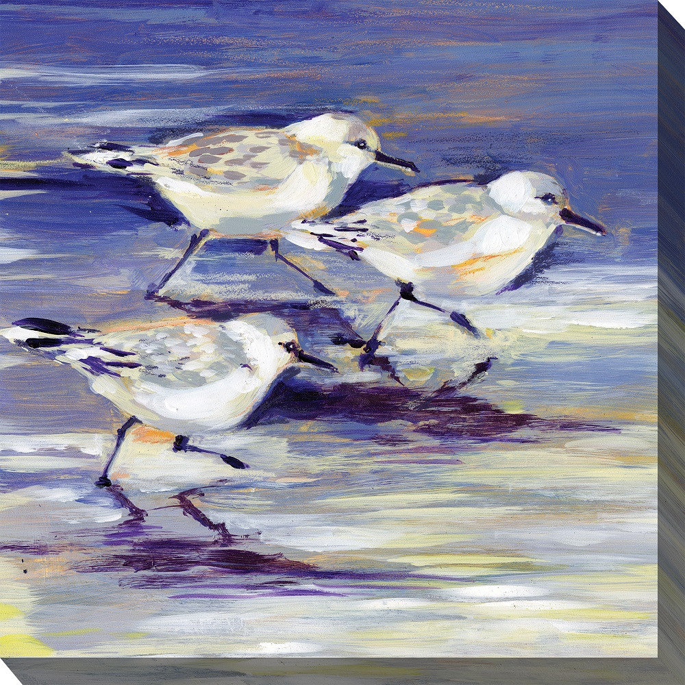 Sandpipers Canvas Art Print, 24"x24" - Beach Style - Outdoor Wall Art ...