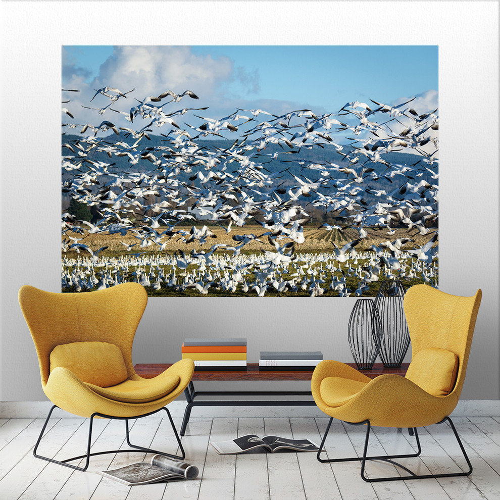 Takeoff,Self Adhesive Mural,72"x48", 72 x 48 inches - Beach Style ...