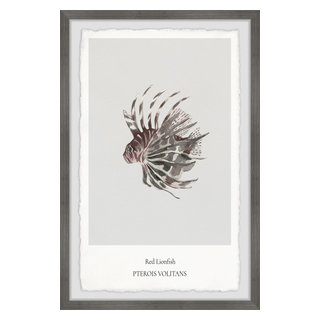 "Red Lionfish" Framed Painting Print, 24x36 - Beach Style - Prints And ...