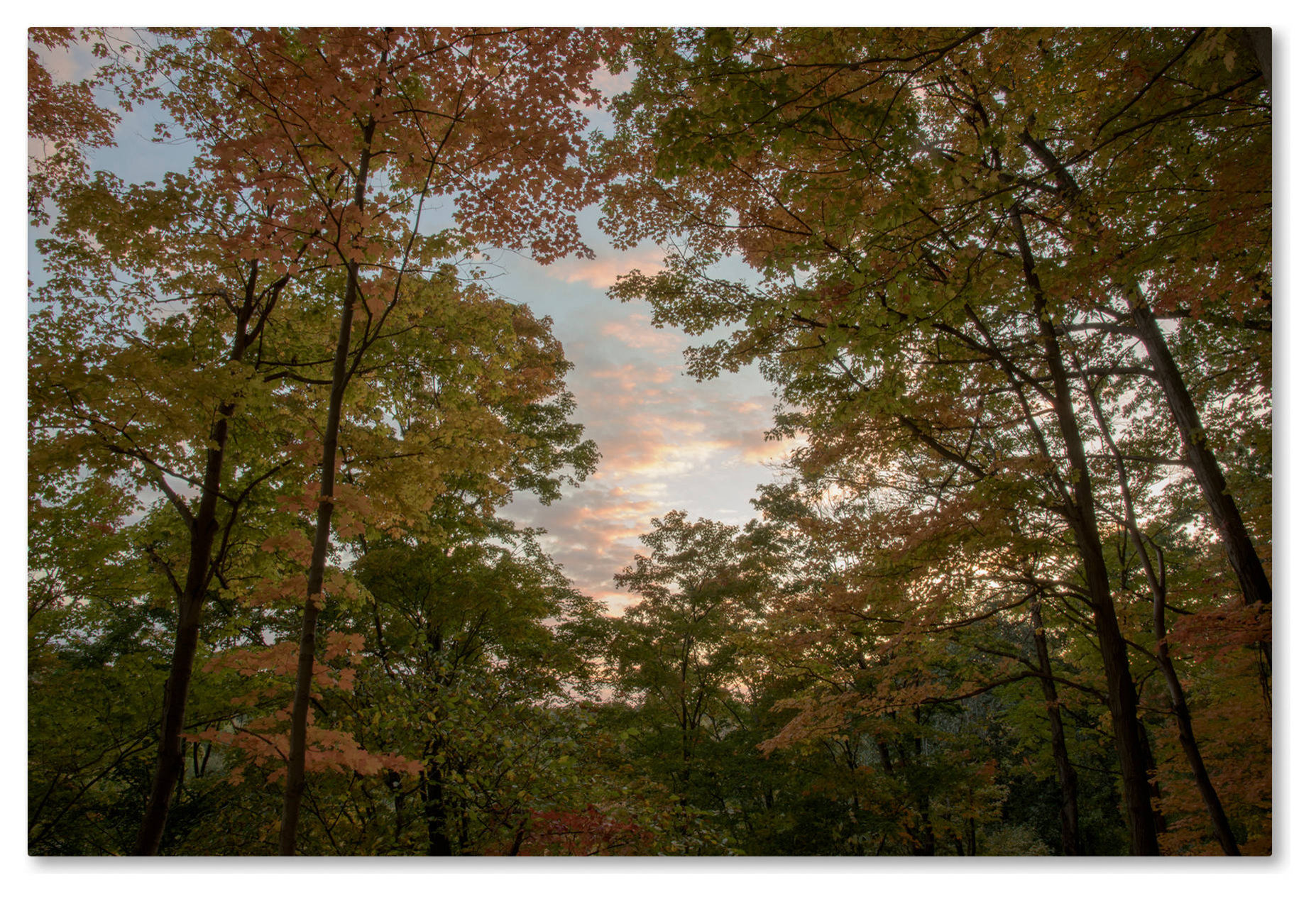 Kurt Shaffer 'Autumn Window to a Sunset' Canvas Art, 16x24 ...